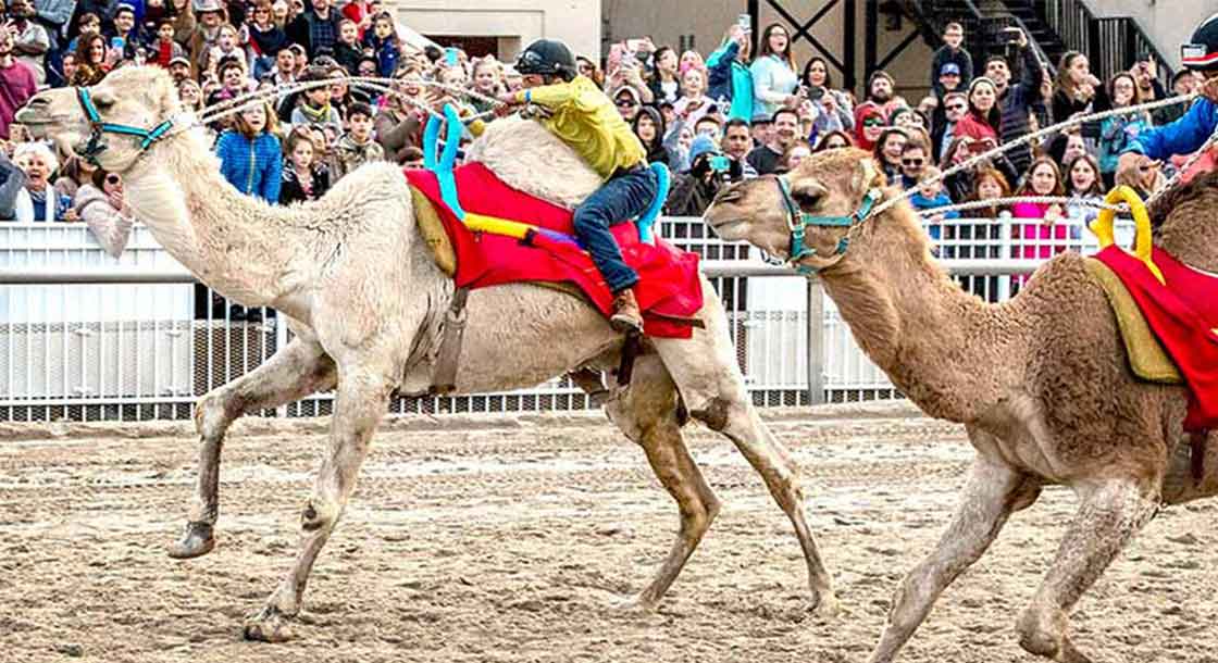 Racing - Oak Grove Racing Gaming and Hotel - Oak Grove, KY